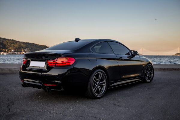 Front Door and Passenger - Platinum Auto Armor